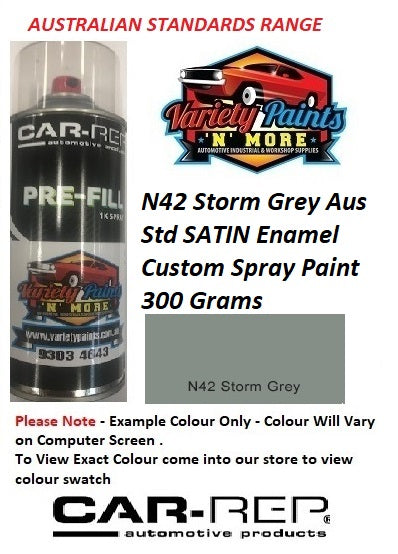 N42 Storm Grey Australian Standard SATIN Enamel Custom Spray Paint 300
