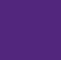 PMS267 Pantone® Purple Gloss Enamel Custom Spray Paint 300 Grams