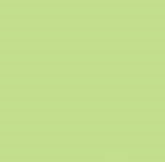 PMS366 Grass Green Gloss Enamel Pantone Custom Spray Paint 300 Grams