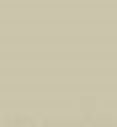 PMS453 Beige Pantone Gloss Enamel Custom Spray Paint 300 Grams