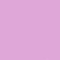 PMS515 Pantone Custom Spray Paint 300 Grams