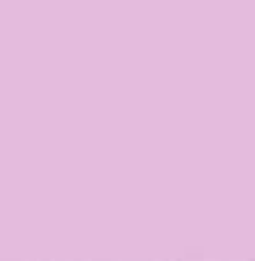 PMS516 Pantone Custom Spray Paint 300 Grams
