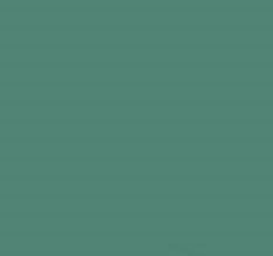 PMS625 Pantone Custom Spray Paint 300 Grams