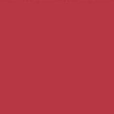 PMS703 Pantone Custom Red Enamel Gloss Spray Paint 300 GRAMS