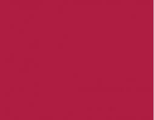 RAL3027 Raspberry Red Gloss Enamel Spray Paint 300 Grams
